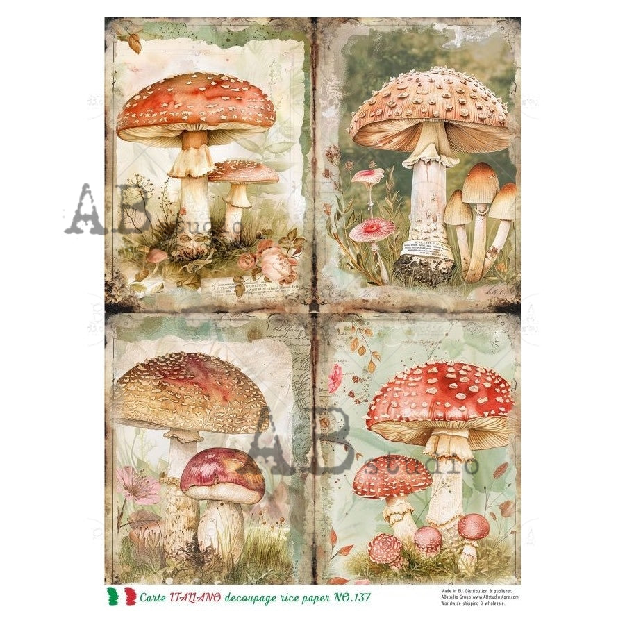 Mushroom Cards Decoupage Rice Paper A4 Item Carte Italiano 137 by AB S – All Paint Products