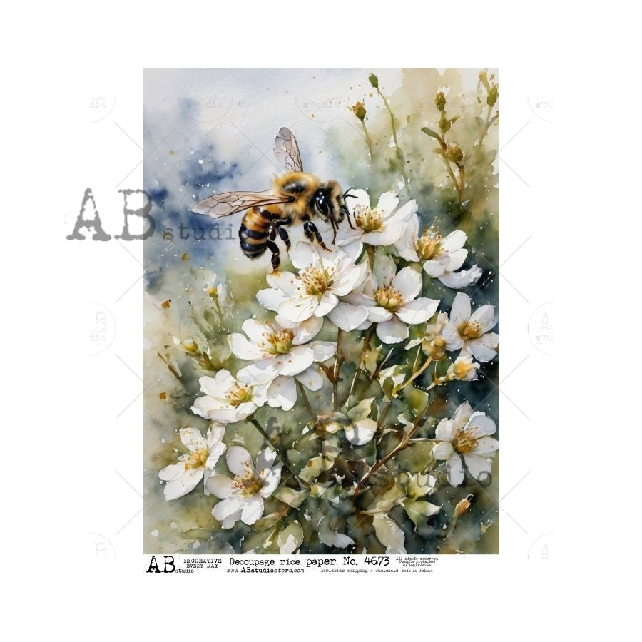 White Flowers with Bee Watercolor Decoupage Rice Paper A4 Number 4673 ...