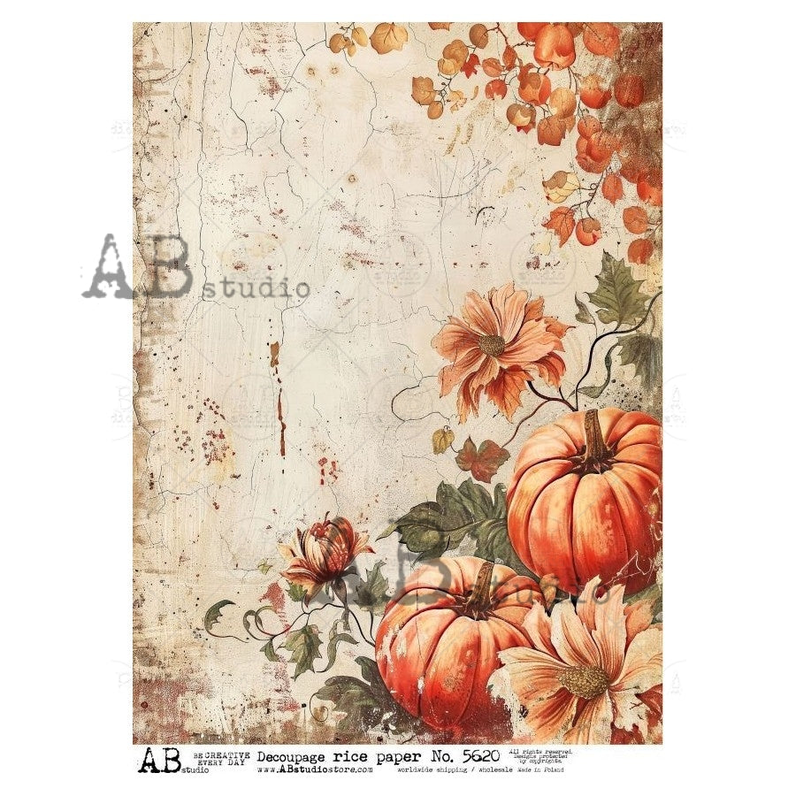 Pumpkin Harvest Decoupage Rice Paper A4 Item No. 5620 by AB Studio ...