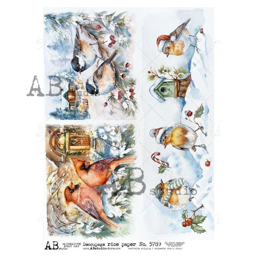 Winter Bird Delight Decoupage Rice Paper A4 Item No. 5789 by AB Studio ...