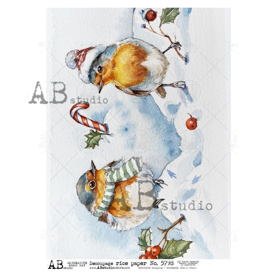 Snow Birds Decoupage Rice Paper A4 Item No. 5798 by AB Studio – All ...