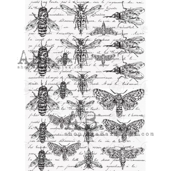 Bees and Moths with Script Decoupage Rice Paper A4 Item No. 0194 by AB ...