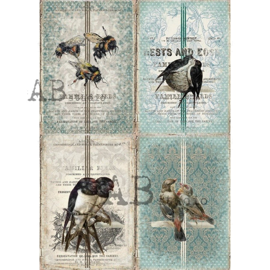 Birds and Bee Vintage Cards Decoupage Rice Paper A4 Item No. 1151 by A ...