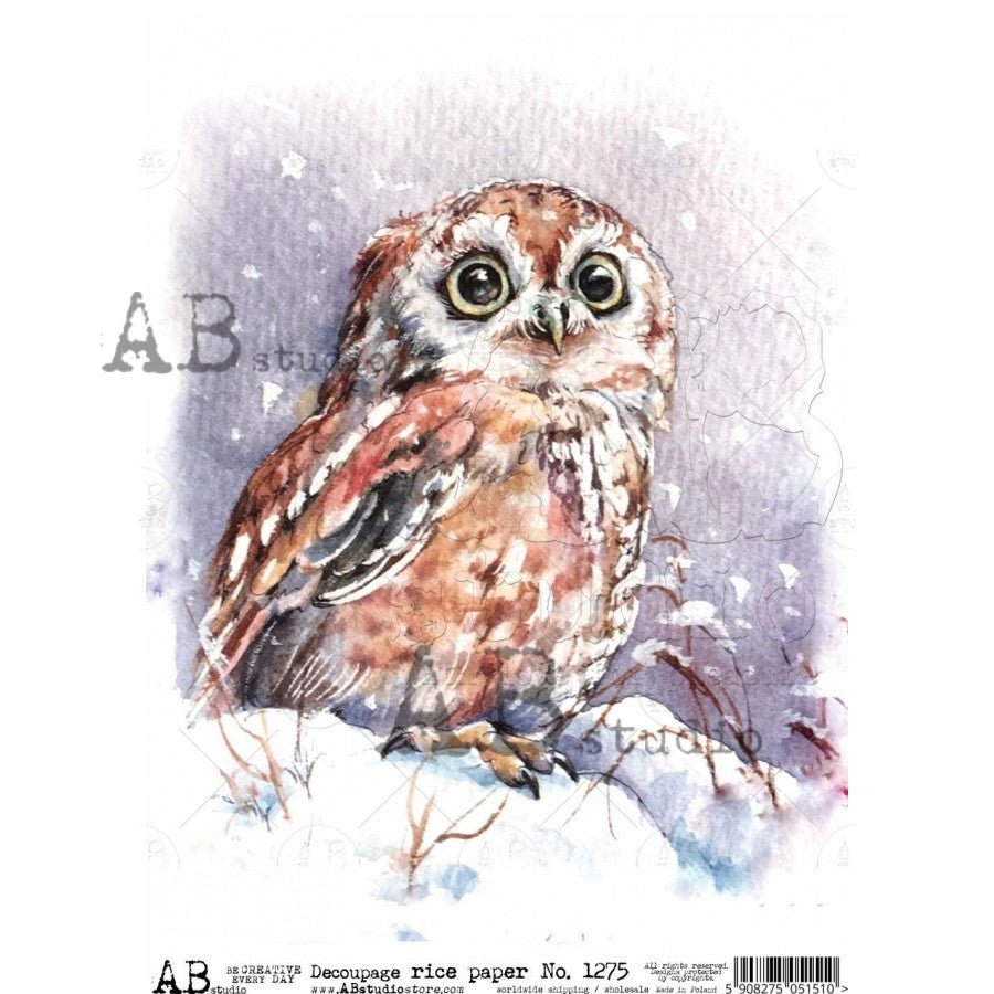Burrowing Owl Decoupage Rice Paper A4 Item No. 1275 by AB Studio – All ...