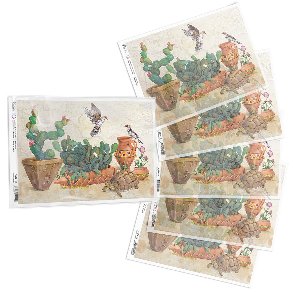 Cactus Garden - A4 Rice Paper Sonora Ciao Bella Collection – All Paint ...