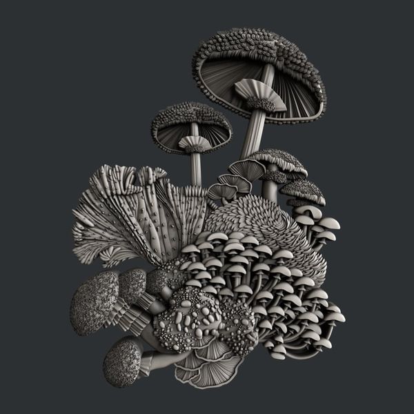 Botanicals Collection by Zuri Molds – All Paint Products