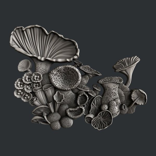 Botanicals Collection by Zuri Molds – All Paint Products