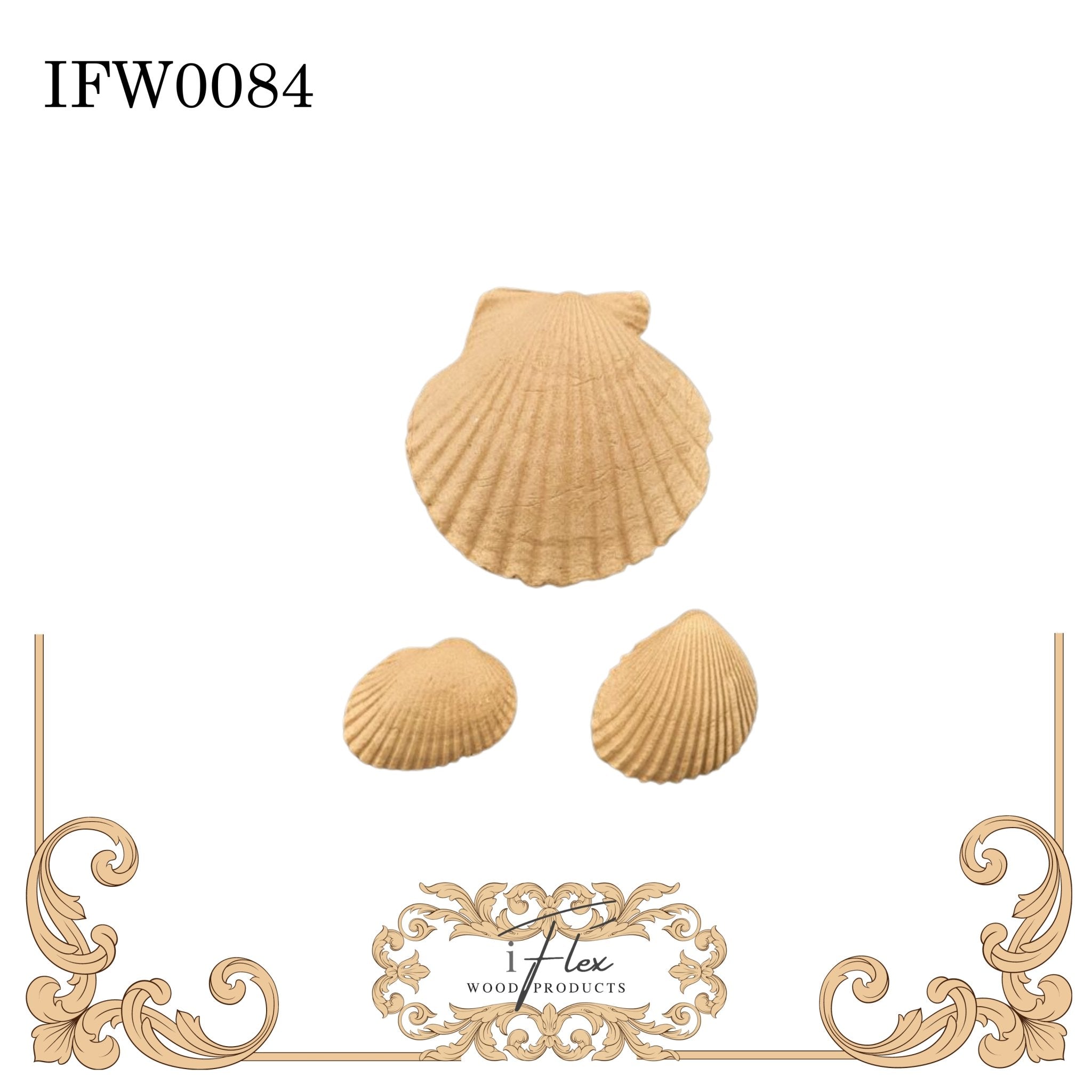 Sea Shells White Base Molding
