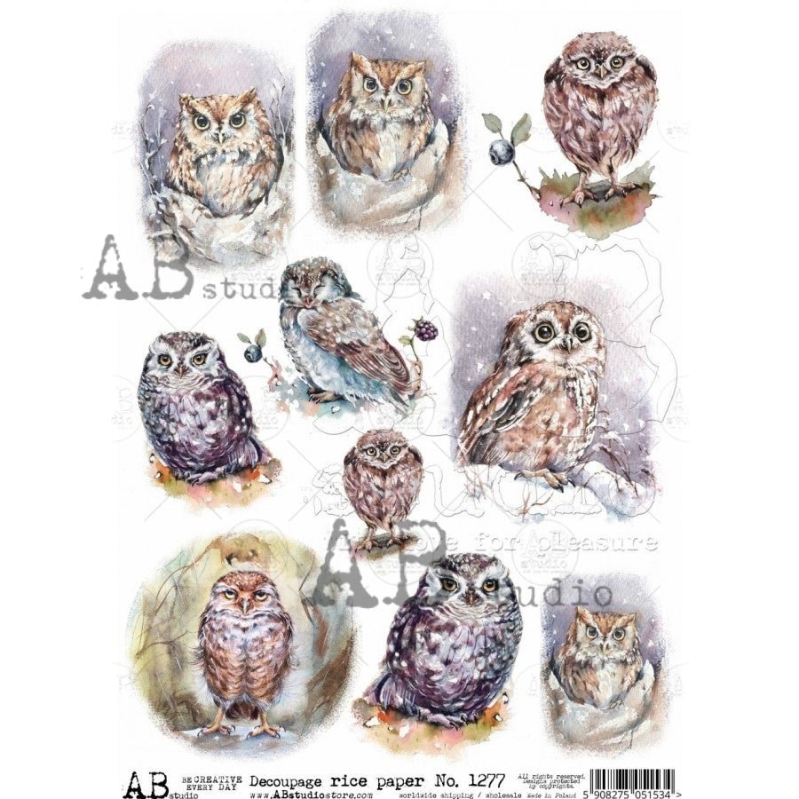 Wise Owls Gazing Decoupage Rice Paper A4 Item No. 1277 by AB Studio ...